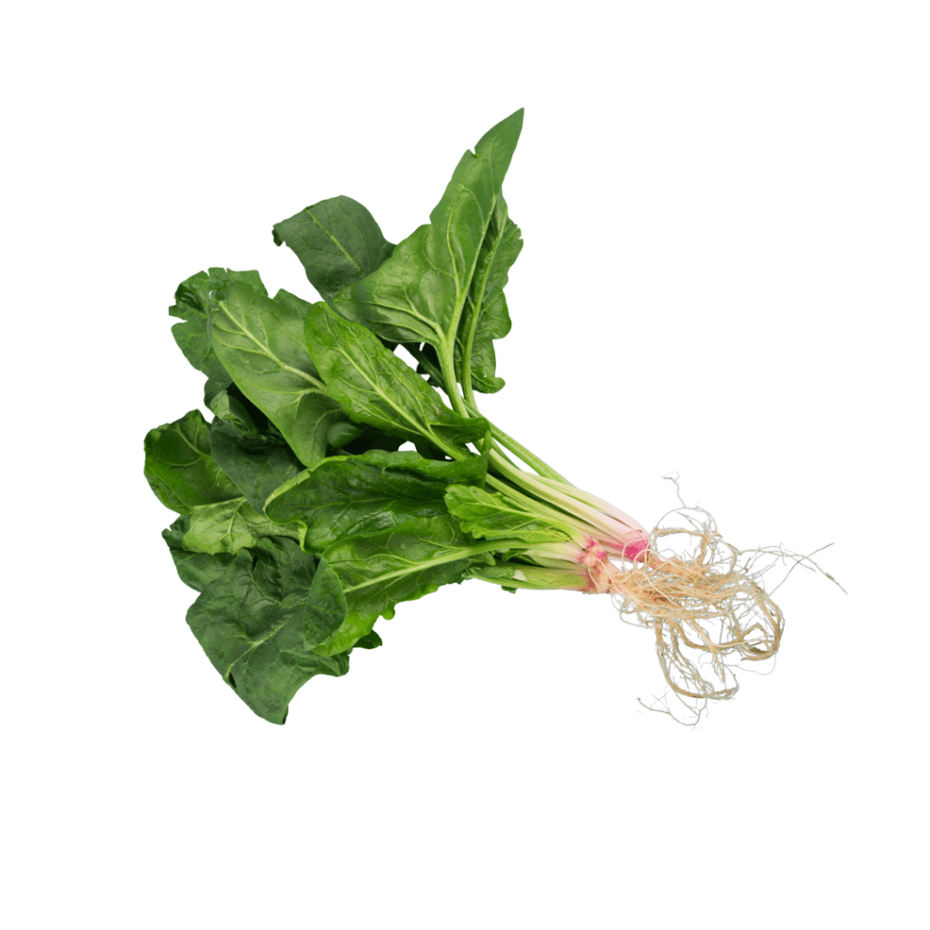 Gimboa | Cesta Da Lavra